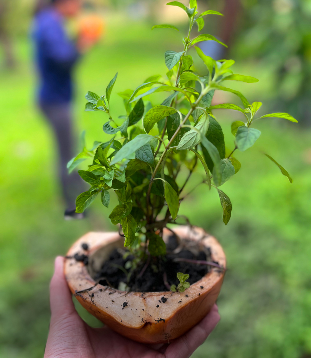 Commitment to Sustainability – Linaco Corporate Website